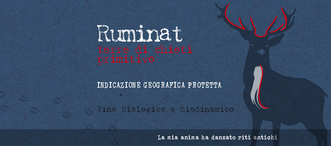 Primitivo Ruminat IGT 2024 Lunaria Biowein - PRObioWEIN