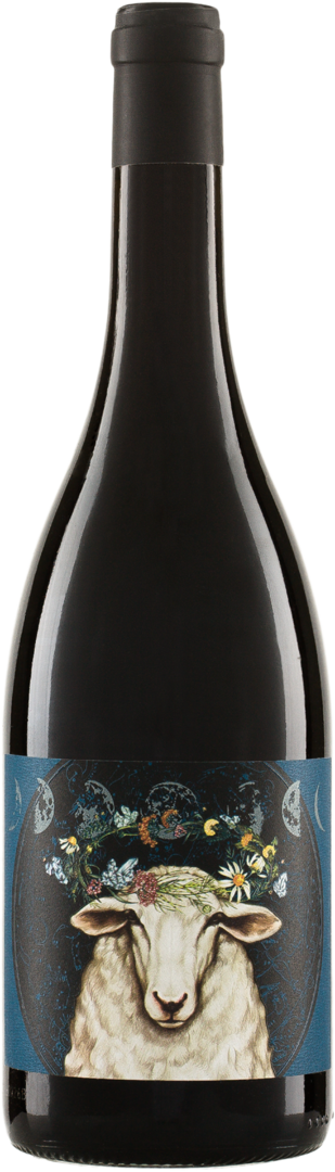 Merlot 'Elysian Collection' Mendocino County 2016 Bonterra Biowein ...