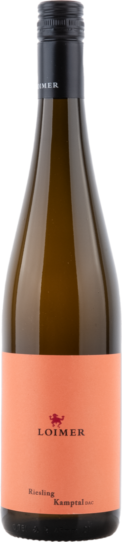 Riesling Kamptal 2022 Loimer Biowein - PRObioWEIN