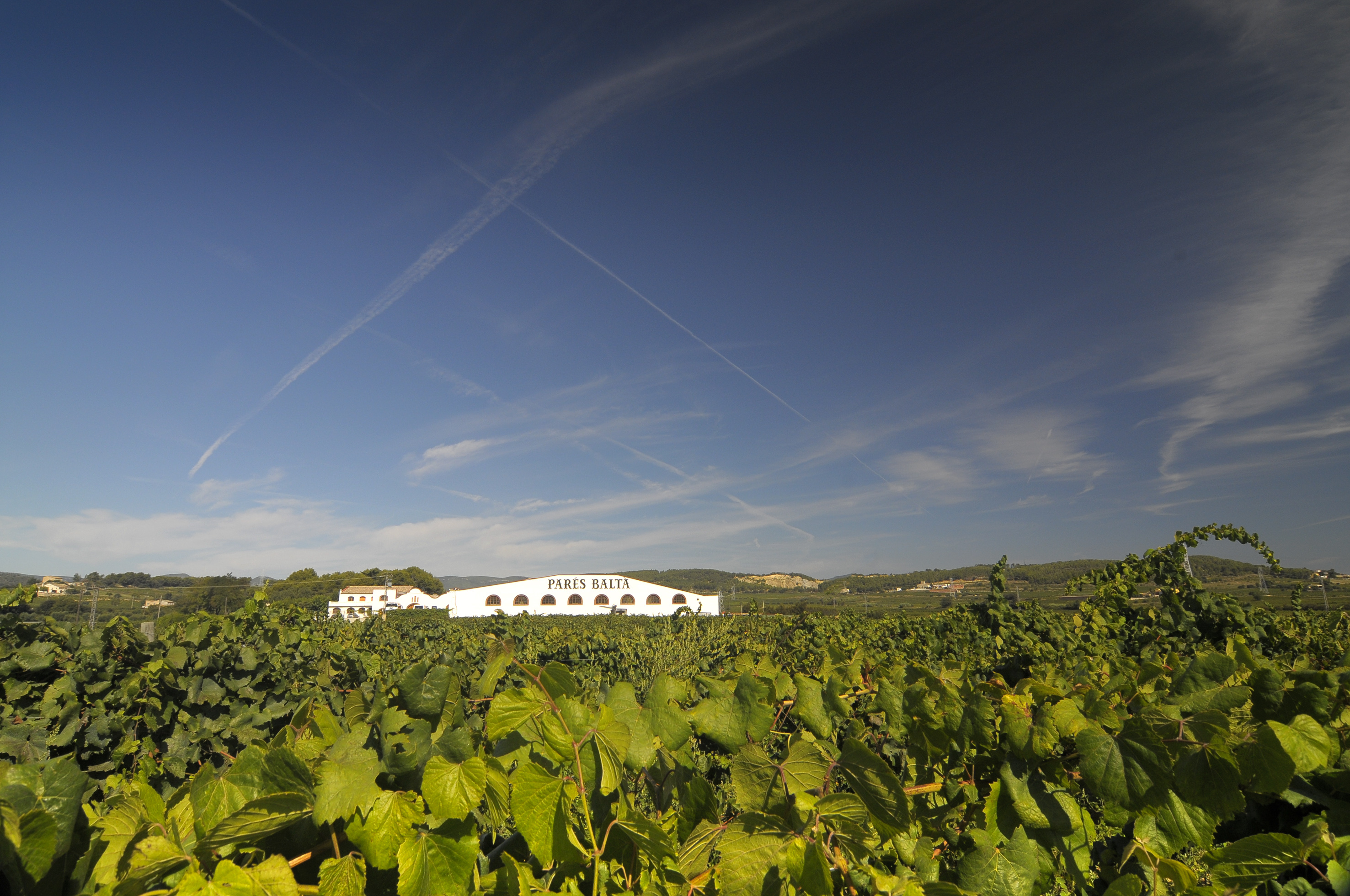 PRObioWEIN - - Aus purem Vergnügen